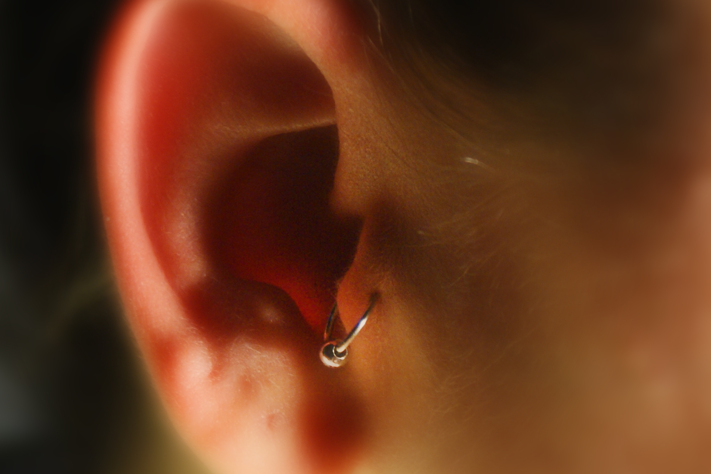 Tragus Ear Cuff With Ball (silver) - No Piercing Required on Luulla